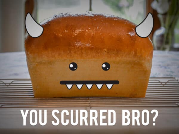 8 Reasons You Might Fear Baking Bread (But Shouldn’t) – Knead Rise Bake