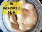 How to Fix Over-Proofed Dough? – Knead Rise Bake